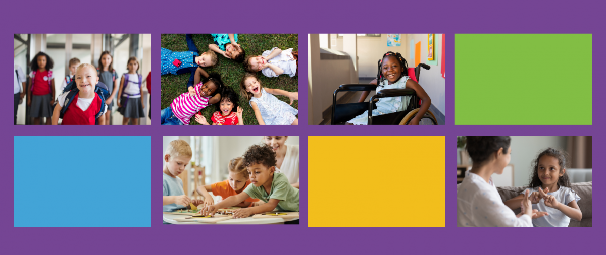 Supporting Dually Diagnosed Youth and Their Families: Innovative ...